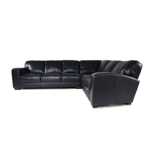 Stationary Leather Sectionals